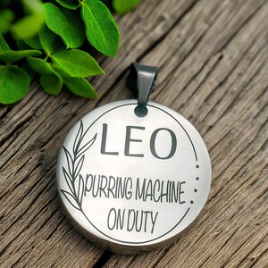 Personalized Funny Cat Metal Name Tag, Custom Laser Engraved Stainless ...