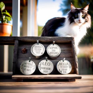 Personalized Funny Cat Metal Name Tag, Custom Laser Engraved Stainless ...