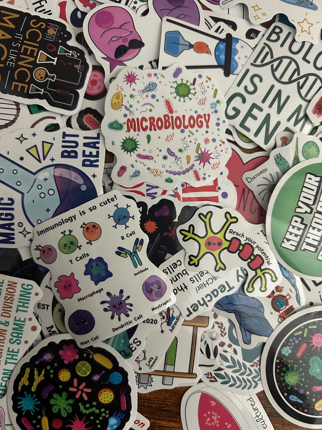 Biology/microbiology Stickers - Etsy