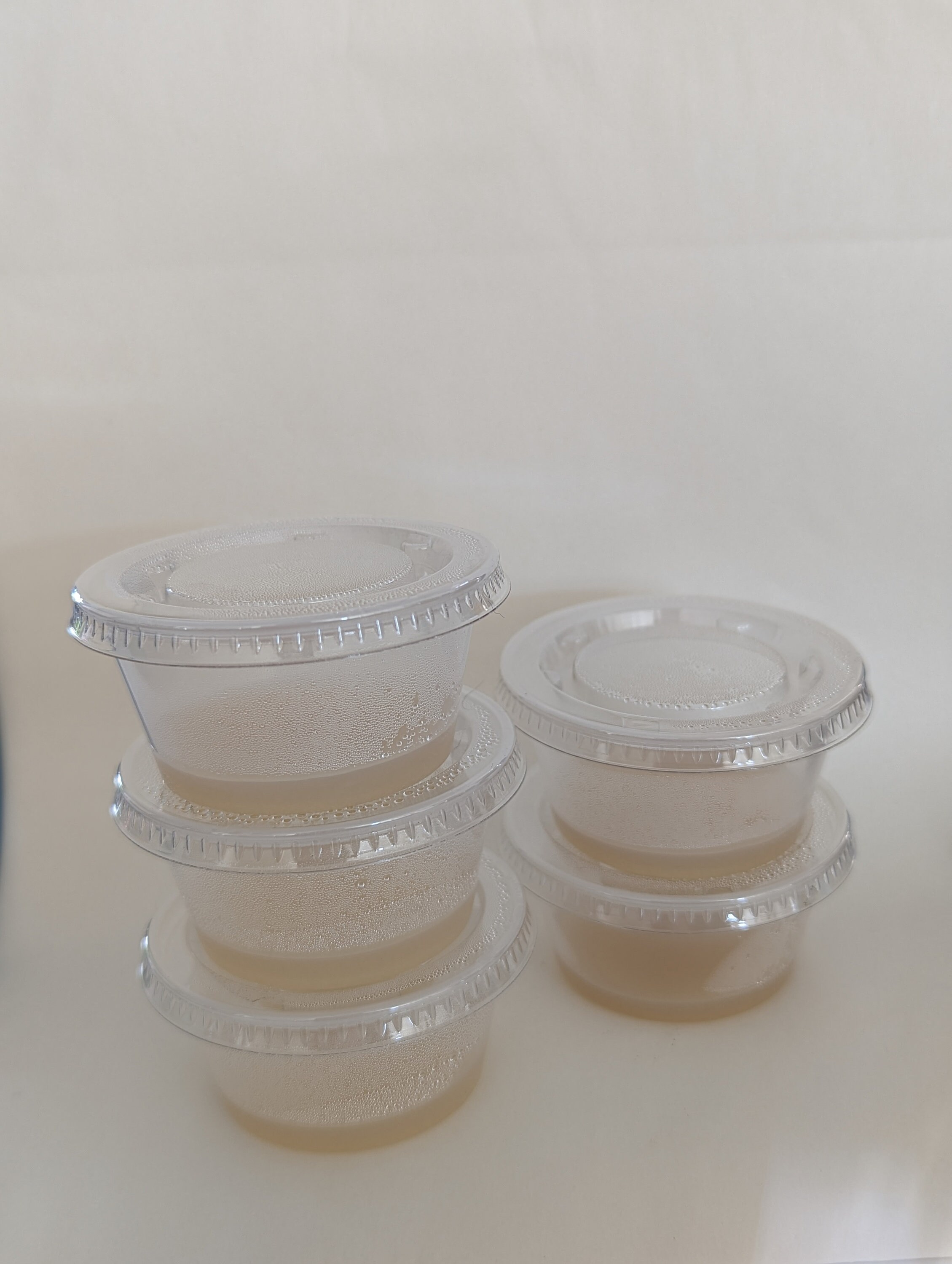 Sterilized Agar Cups - Etsy