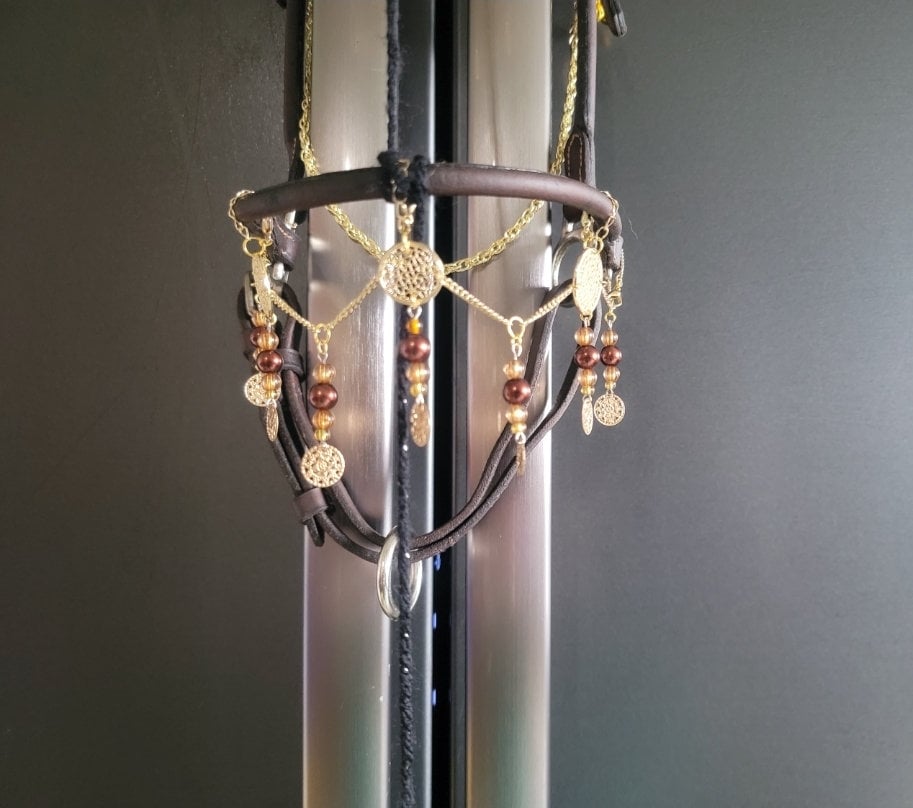 Custom Bridle Bling - Etsy