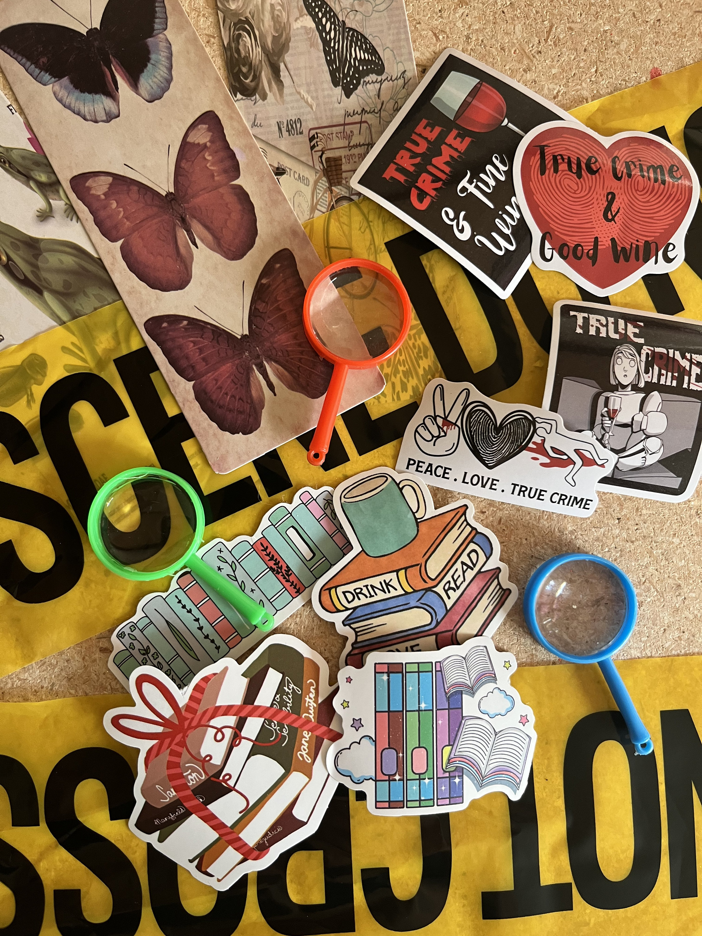 Blind Date With a Book... True Crime Thriller Suspense Mystery - Etsy