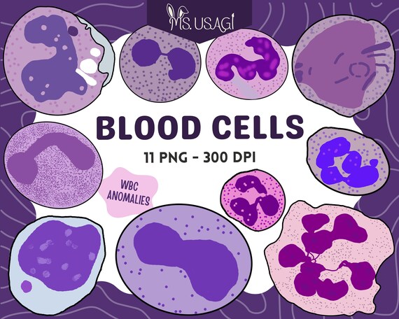 White Blood Cell Drawing