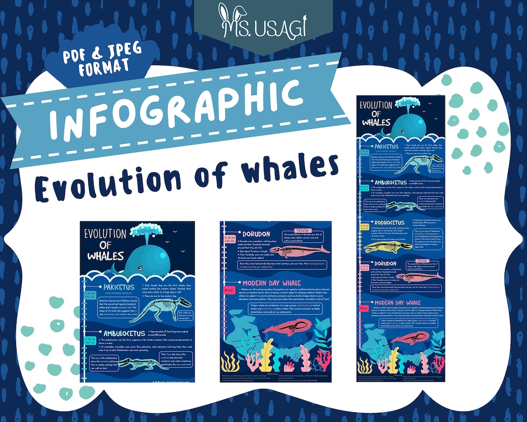 Infographic Whale Evolution of Whales Infographic Printable Whale ...