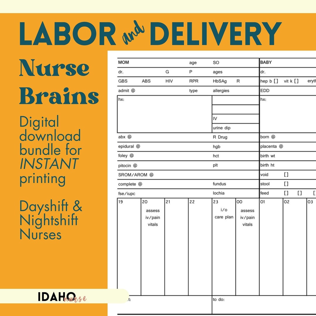 Labor and Delivery Nurse Brains: Digital Bundle - Etsy