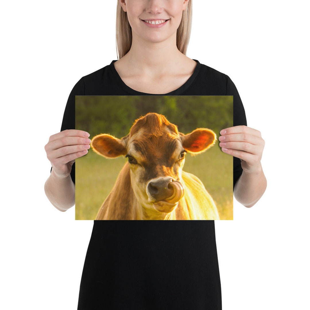 Funny Cow Face Photos Gifts and Images - Etsy