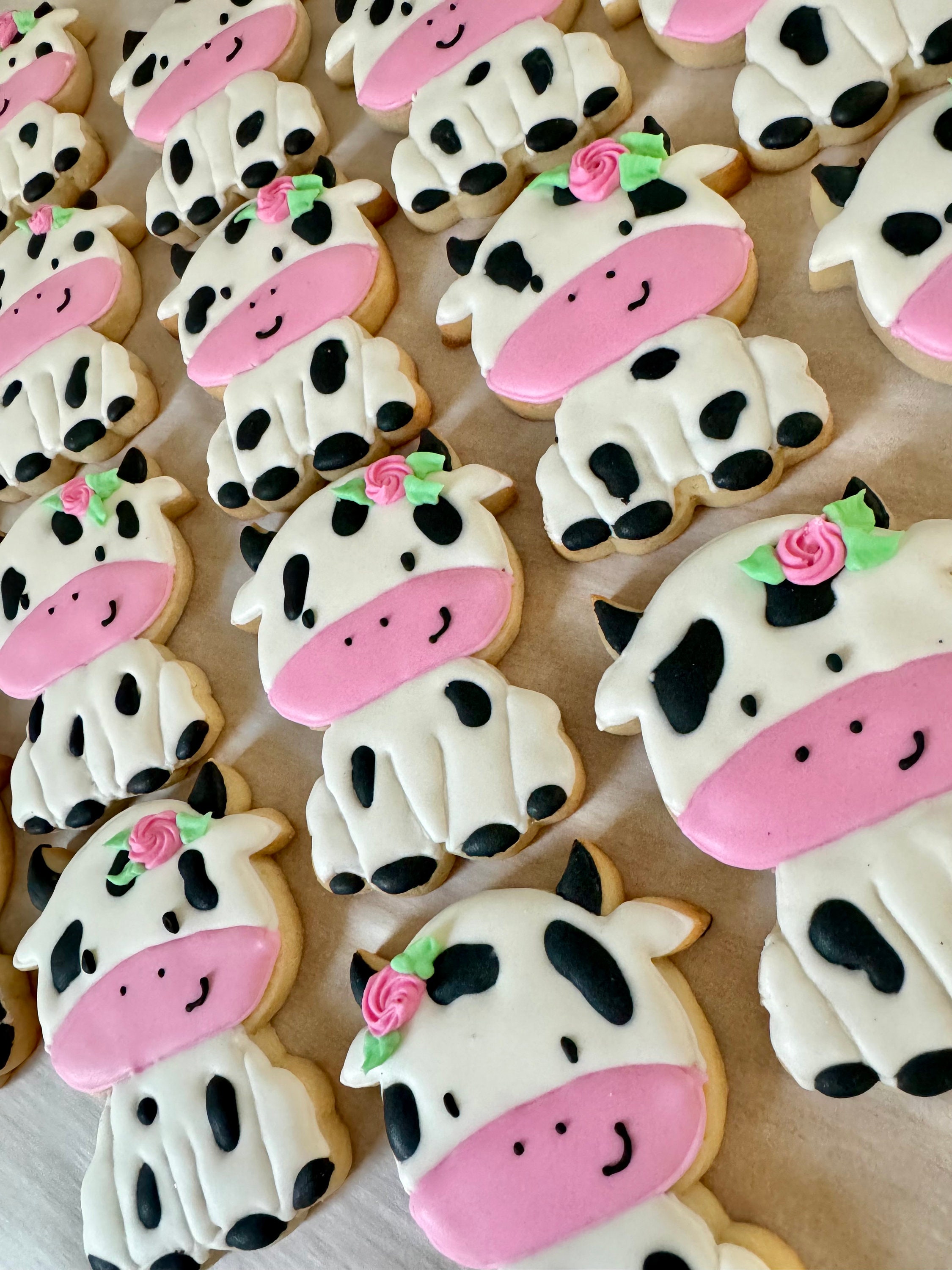 Cow Sugar Cookies Girl 1 Dozen - Etsy