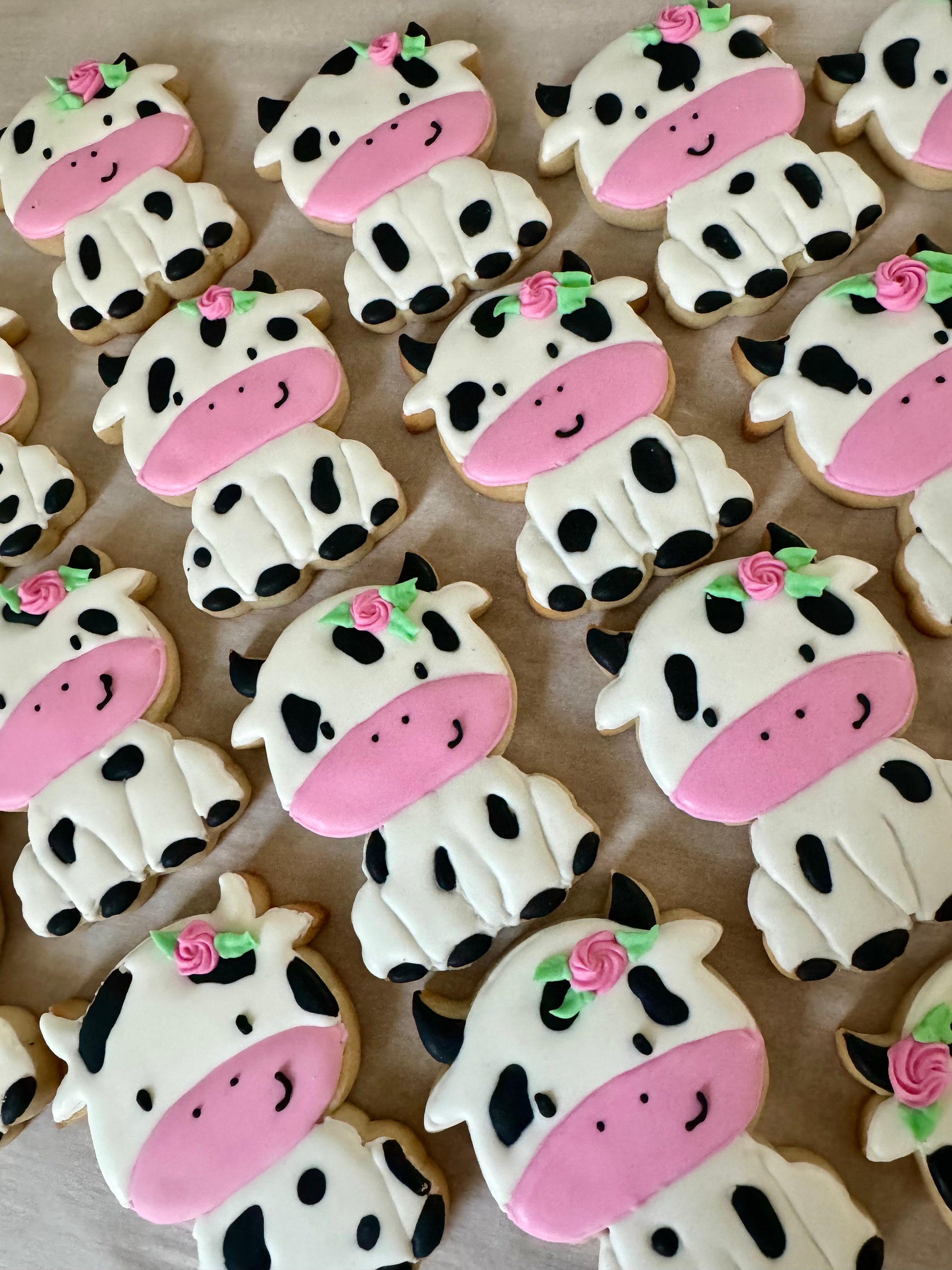 Cow Sugar Cookies Girl 1 Dozen - Etsy
