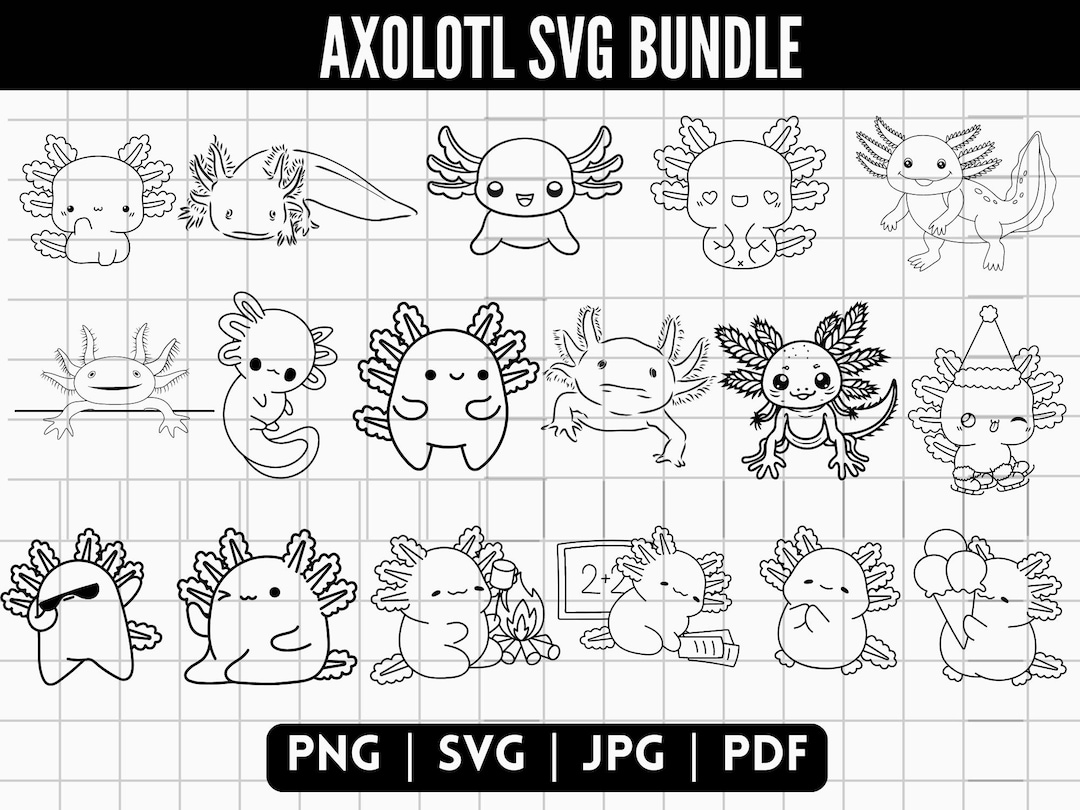 Axolotl SVG Bundle | Cartoon Axolotl | Floral Axolotl Svg | Axolotl ...
