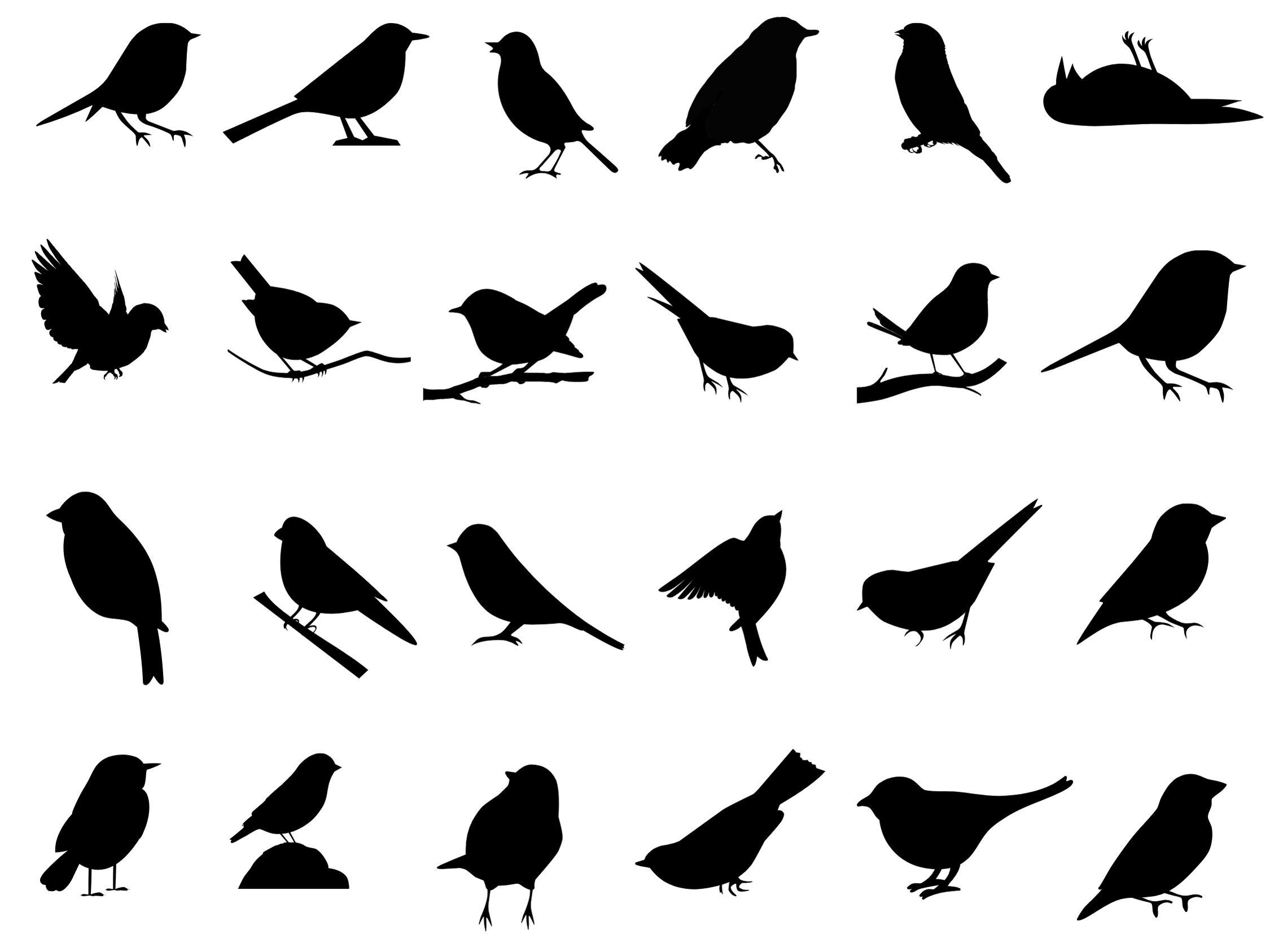 60 Bird SVG Bundles, Bird Cliparts, Sparrow SVG Files, Bird Doodle ...