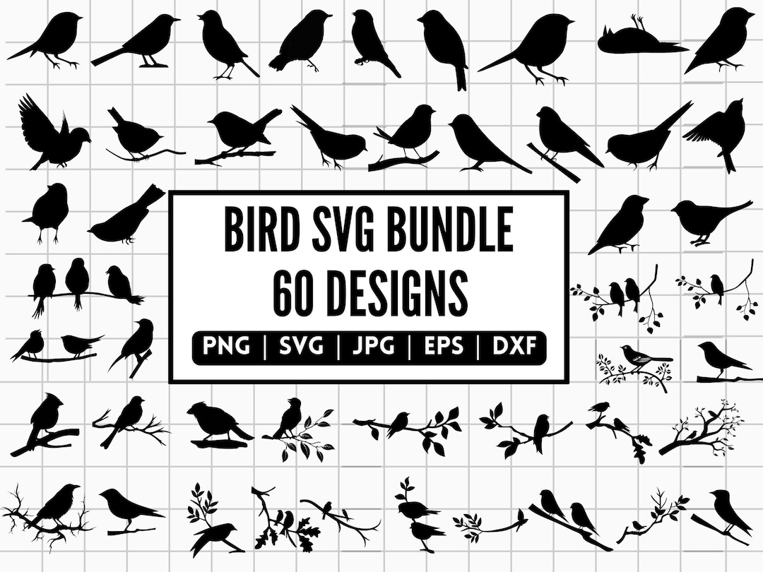 60 Bird SVG Bundles, Bird Cliparts, Sparrow SVG Files, Bird Doodle ...