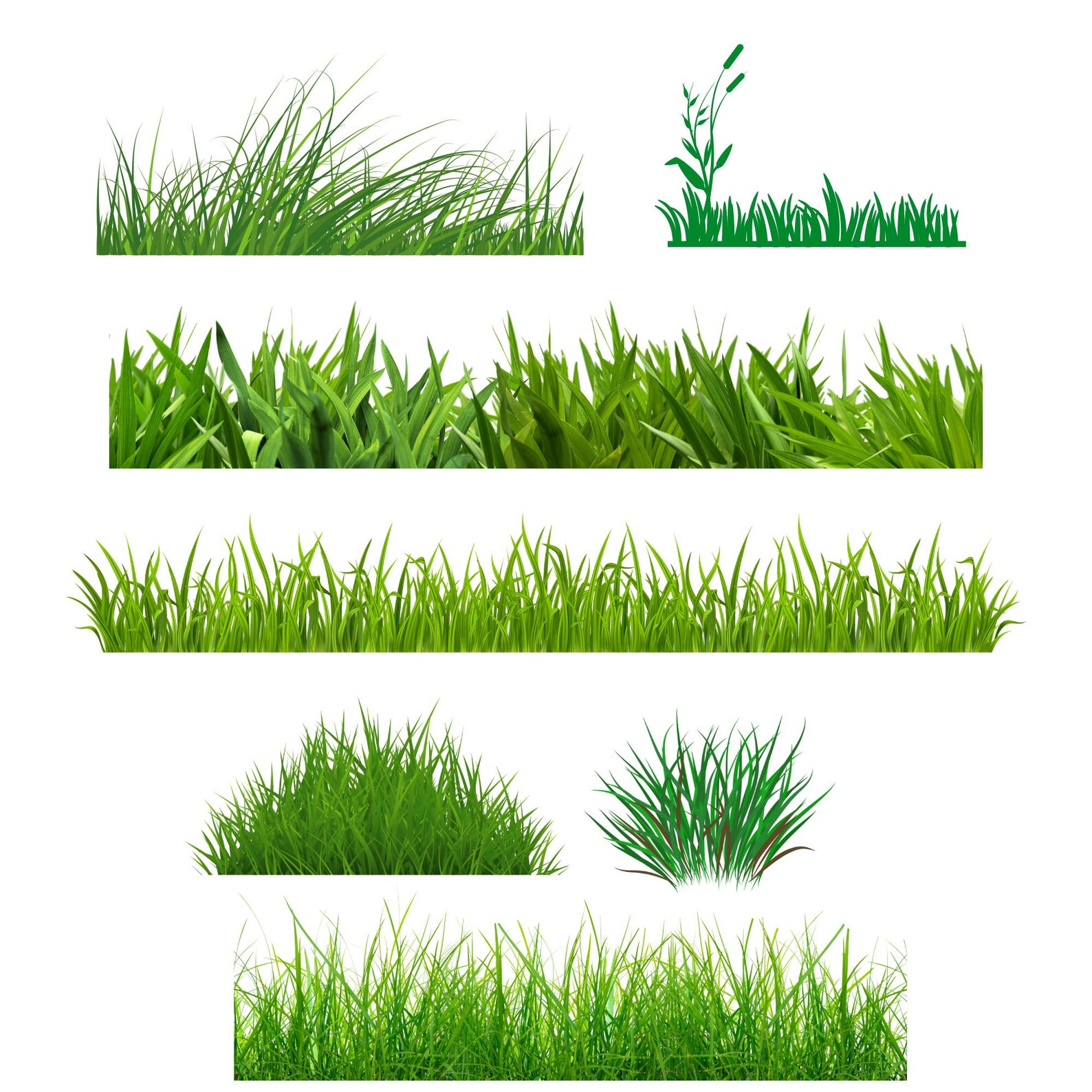 Green Grass SVG Bundle, Wild Grass PNG Design, Grass Vector Graphic ...