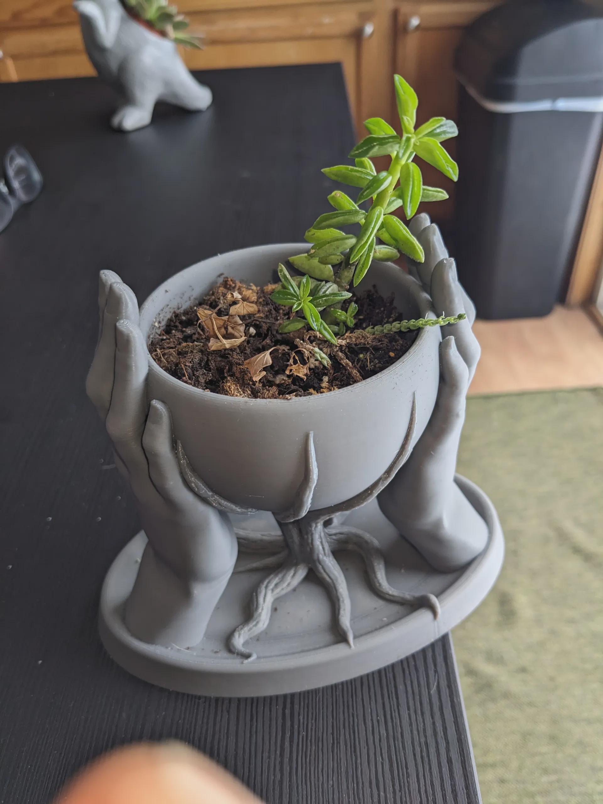 Dual Hand Tree of Life Planter– Unique Modern Decorative Pot - Etsy