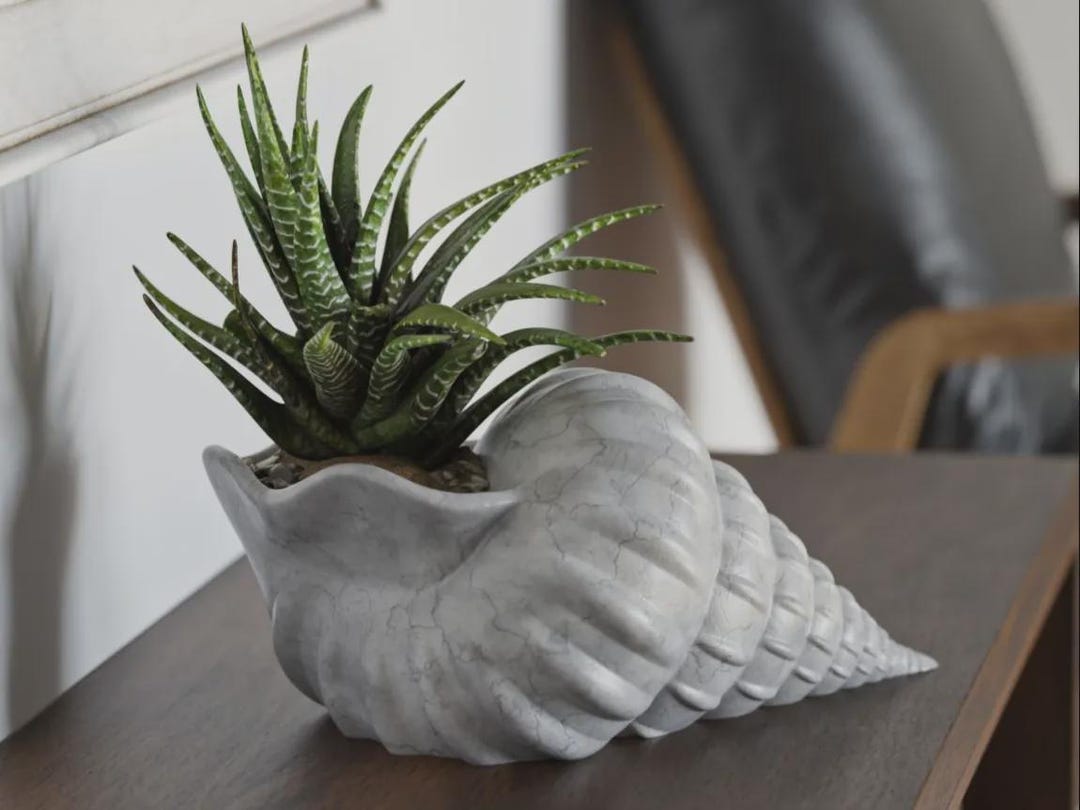 Seashell Planter Pot | Nautical Coastal Home Decor | Unique Succulent ...