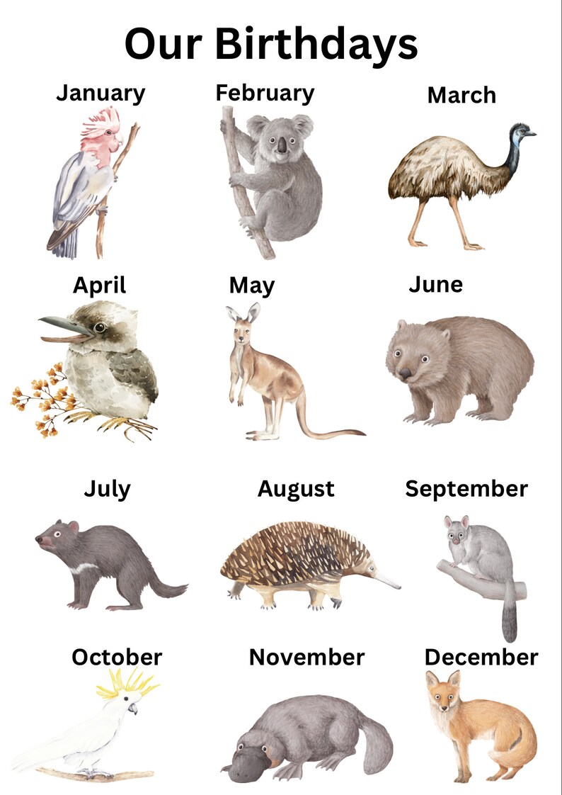 Australian Animals Birthday Chart - Etsy Australia