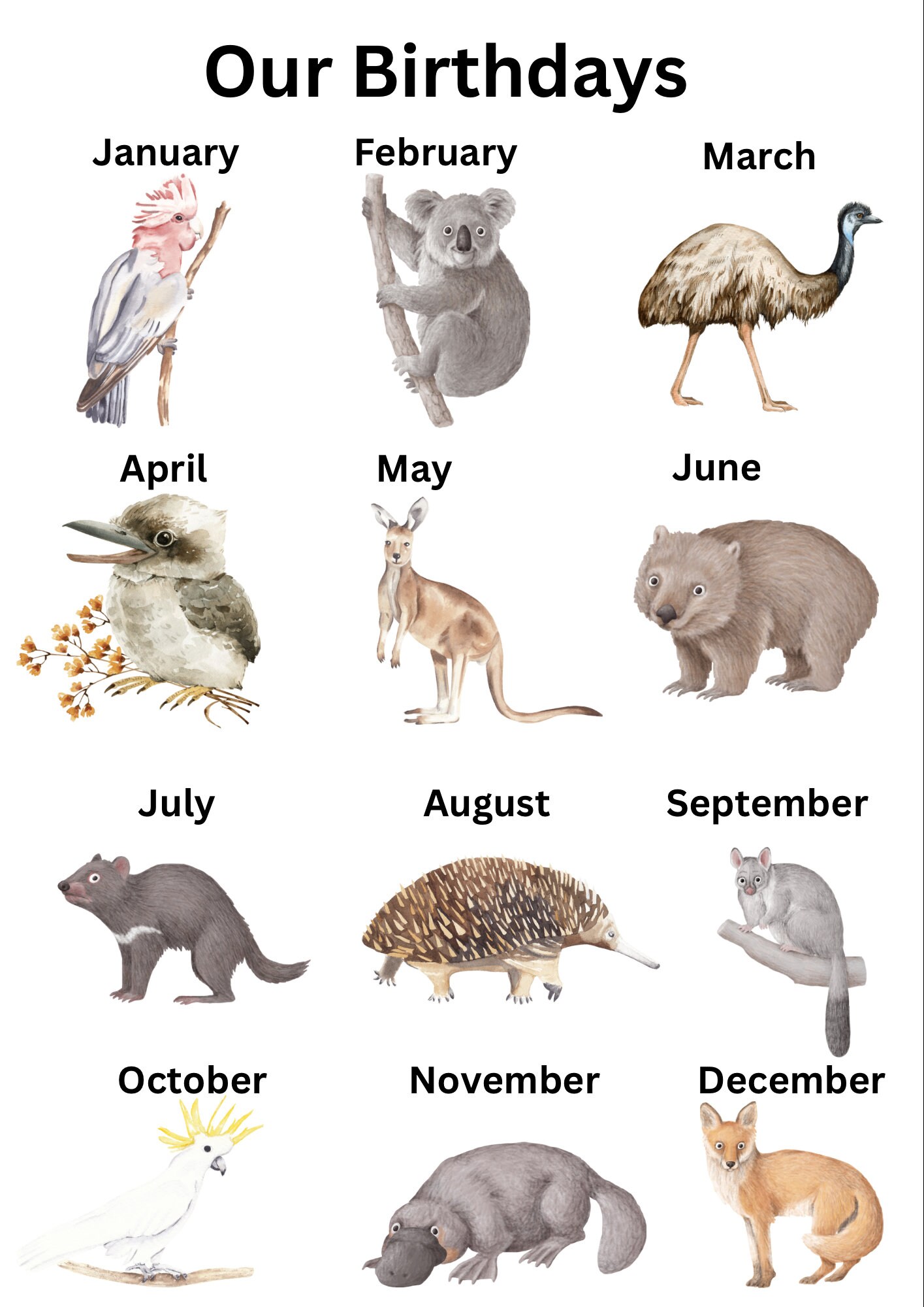 Australian Animals Birthday Chart - Etsy