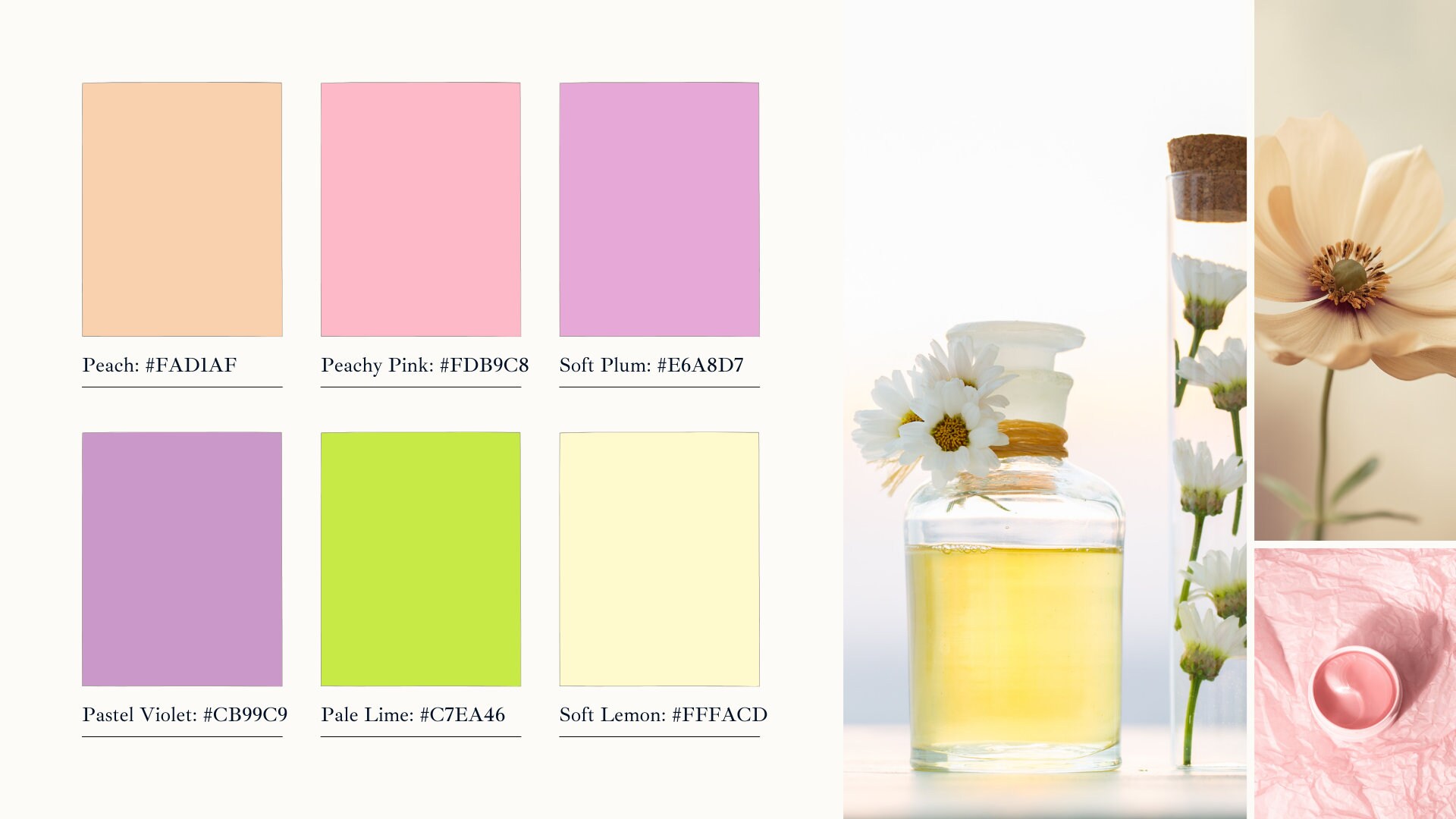 Virtual Color Analysis & Palette Personal Stylist Digital Color Guide ...