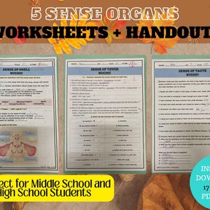 Human Senses Worksheets and Handouts, Science Activity (17-page PDF ...