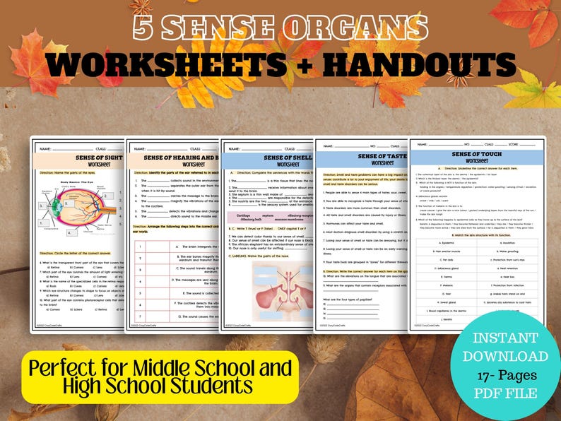 Five Senses Worksheets and Outlines, Human Senses, Eyes, Nose, Ears ...
