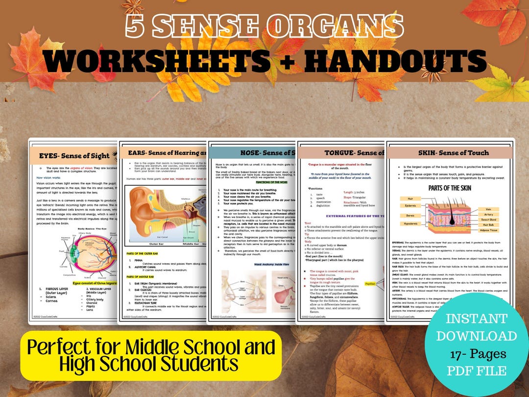 Five Senses Worksheets and Outlines, Human Senses, Eyes, Nose, Ears ...