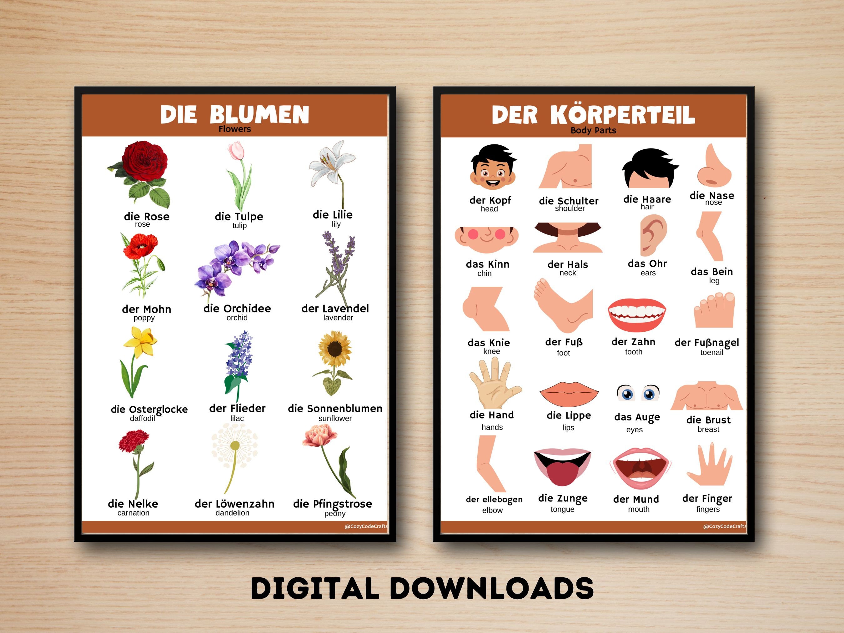 GERMAN POSTERS, German Language Learning, Set of 18 Posters, Learn ...