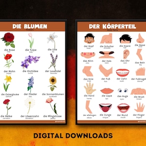 GERMAN POSTERS, German Language Learning, Set of 18 Posters, Learn ...