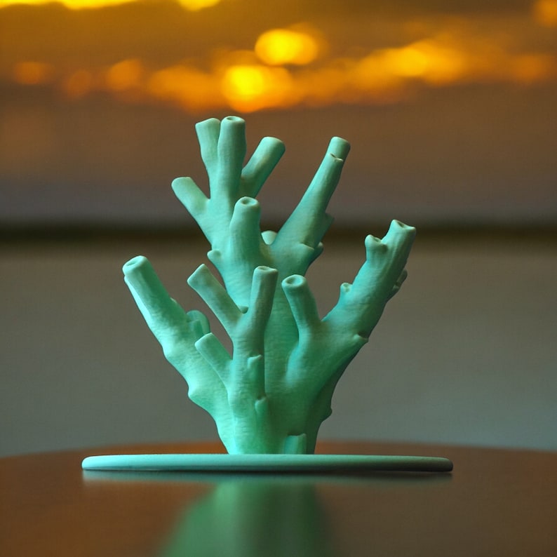 Echinata Coral Jewelry Holder – Artistic Organizer for Rings, Earrings ...