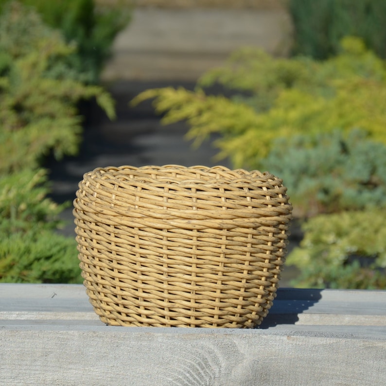 Handcrafted 5-liter Rattan Flower Pot: A Unique and Artistic Touch for ...