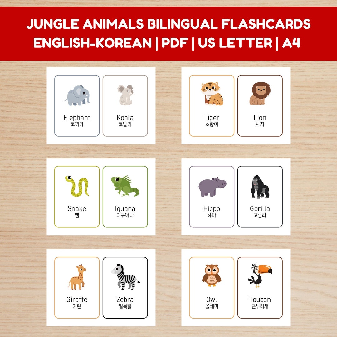 Jungle Animals Bilingual English-korean Flashcards - Etsy