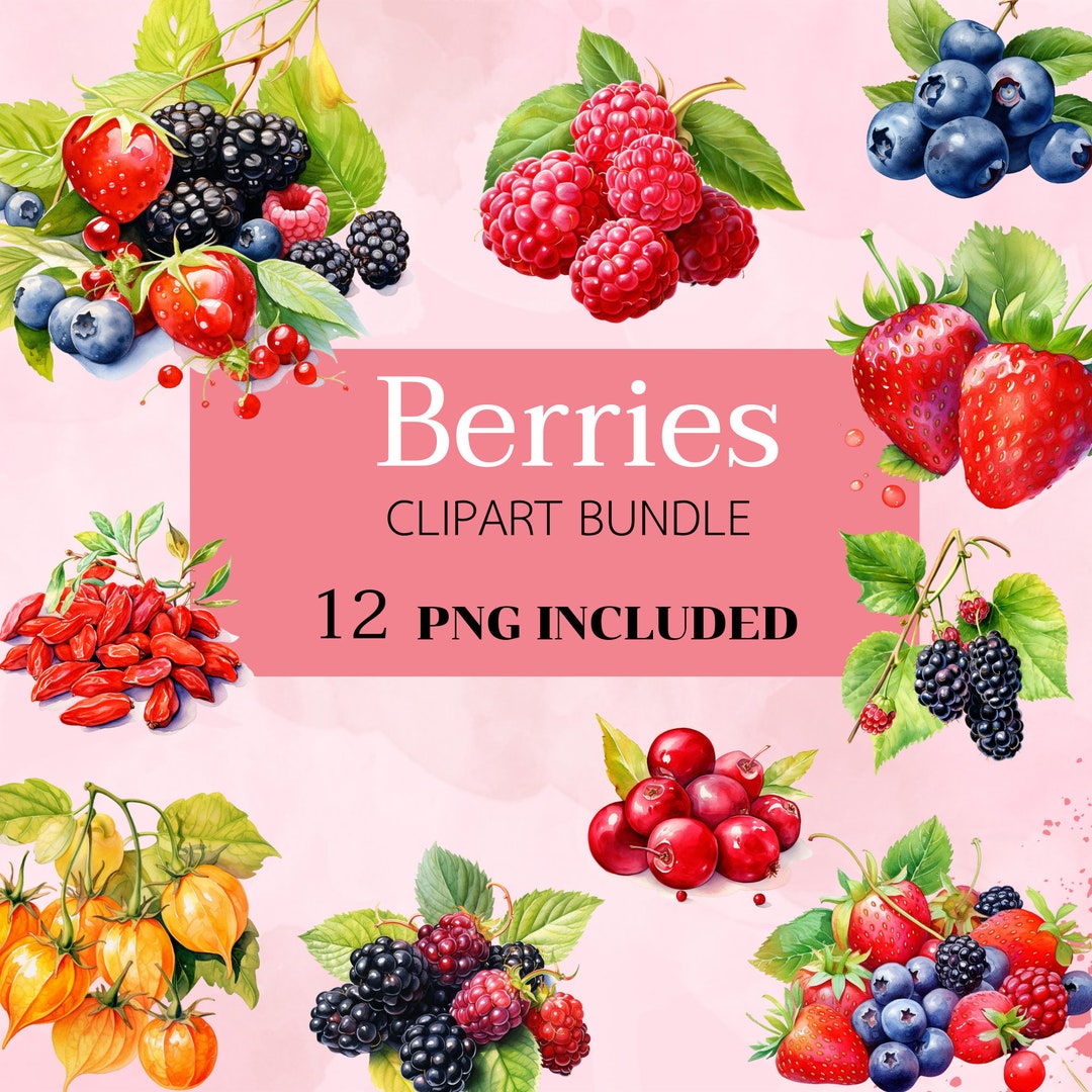 Watercolor Berries Clipart Bundle of 12 - Transparent Background ...