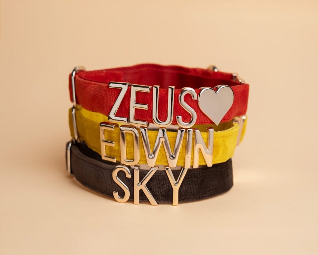 Gold Letter Personalized Collar , Velvet Dog Collar , Personalized ...