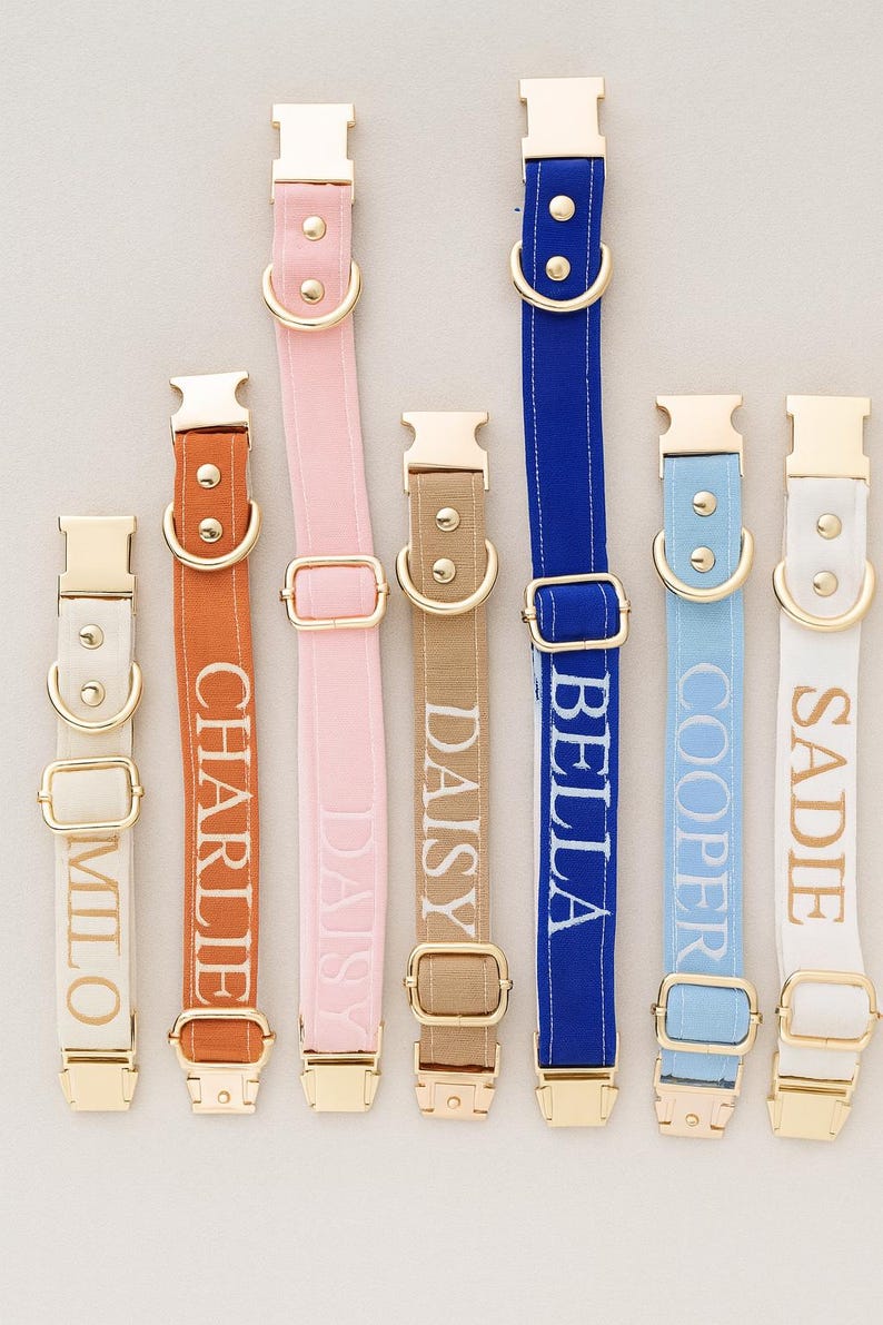 Personalized Embroidered Dog Collar – Custom Name and Design ...