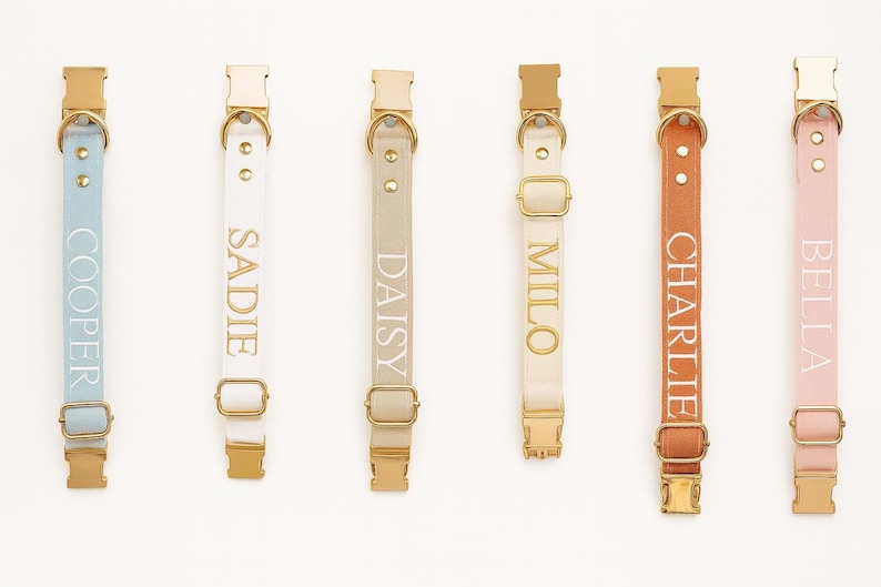Personalized Embroidered Dog Collar – Custom Name and Design ...