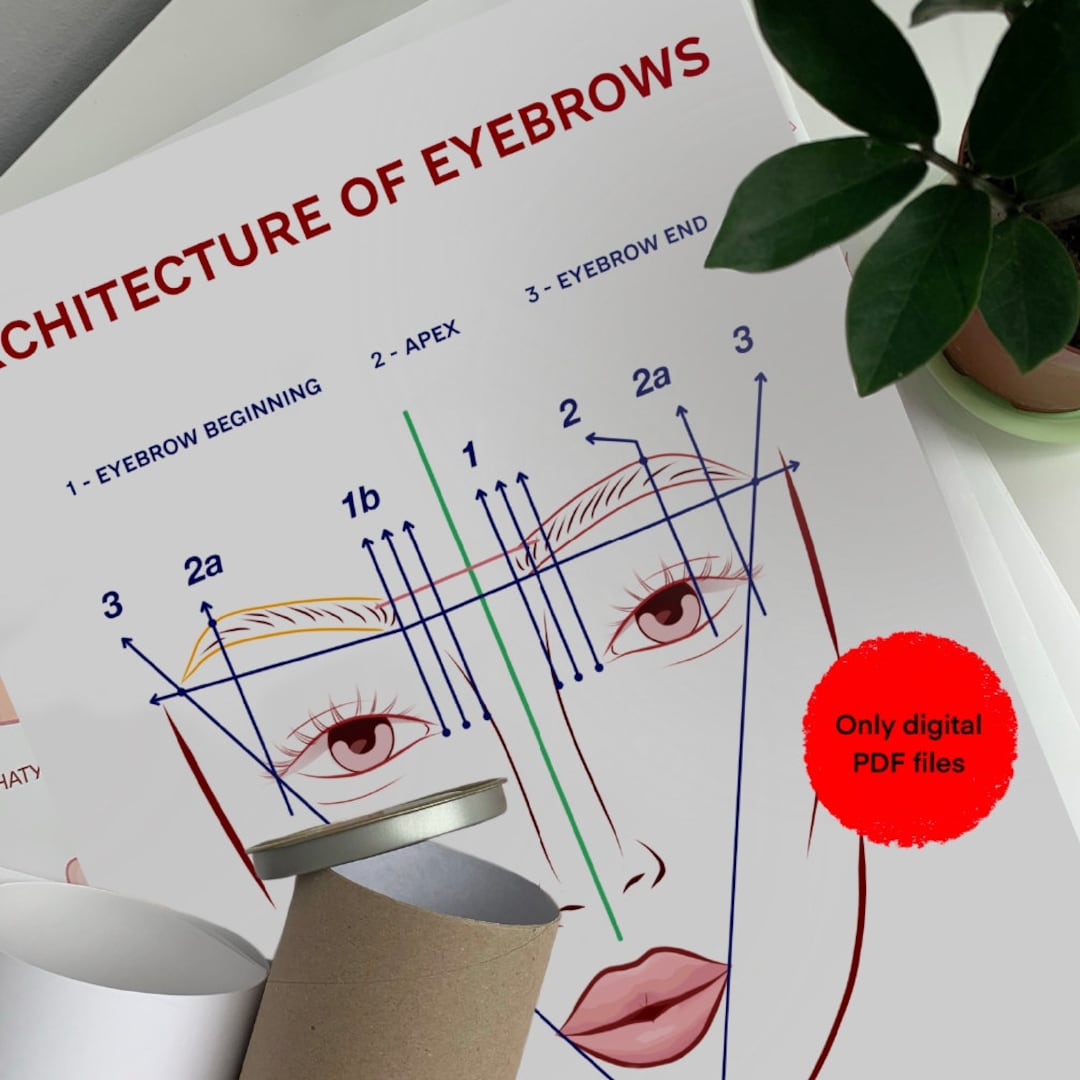 Brow Artist Posters Print, Eyebrow Mapping, Brow Studio Decor, Beauty ...