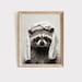 Racoon Poster, Animal Wall Art, Bathroom Decor, Racoon Gift, Racoon ...