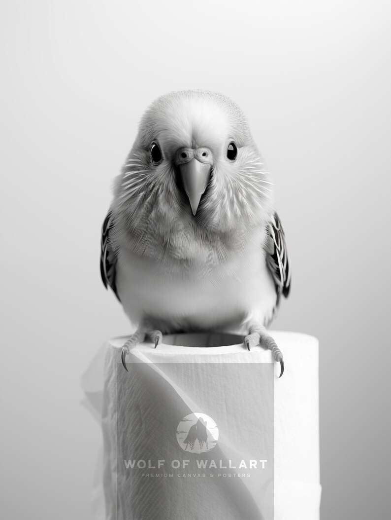 Budgie Poster, Animal Bathroom Poster, Budgie Gift, Budgie Art ...