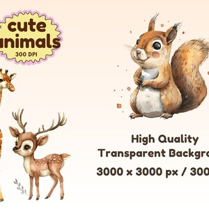 Cute Animal Clipart, 39 PNG Illustrations, Commercial Use (digital ...