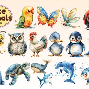 Cute Animal Clipart, 39 PNG Illustrations, Commercial Use (digital ...