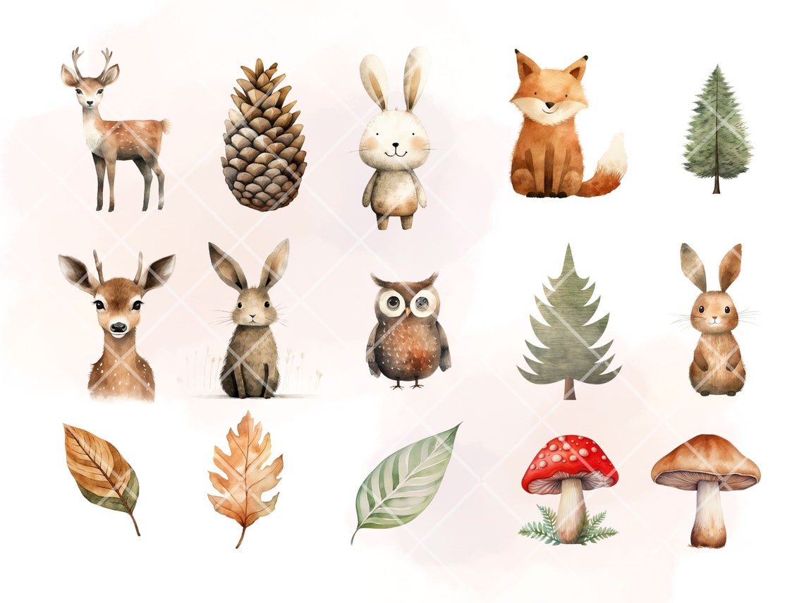 Woodland Animals Clipart Bundle, Cute Animal Png Graphics, Watercolor ...