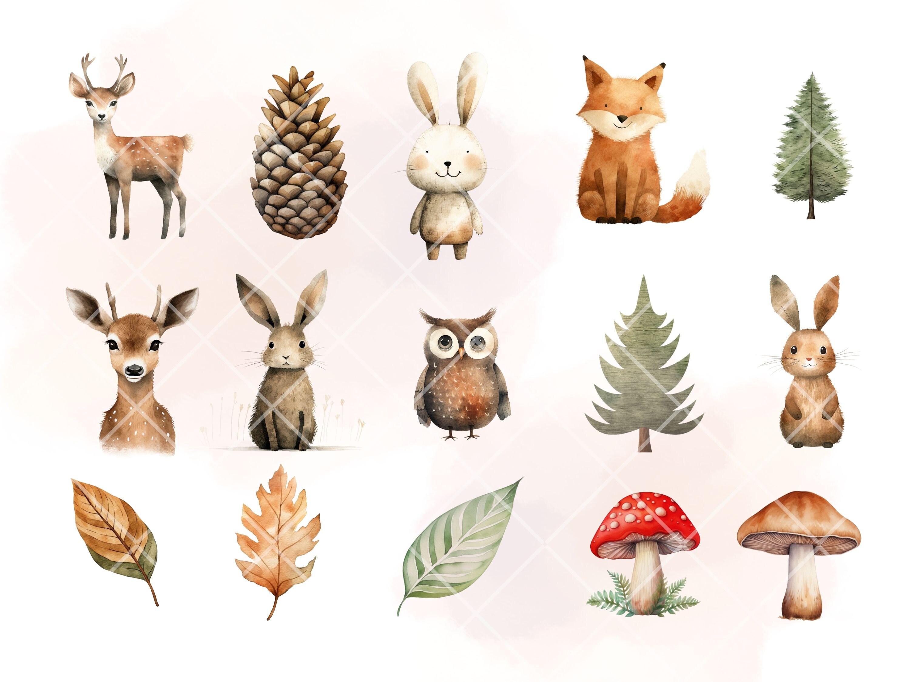 Woodland Animals Clipart Bundle, Cute Animal Png Graphics, Watercolor ...