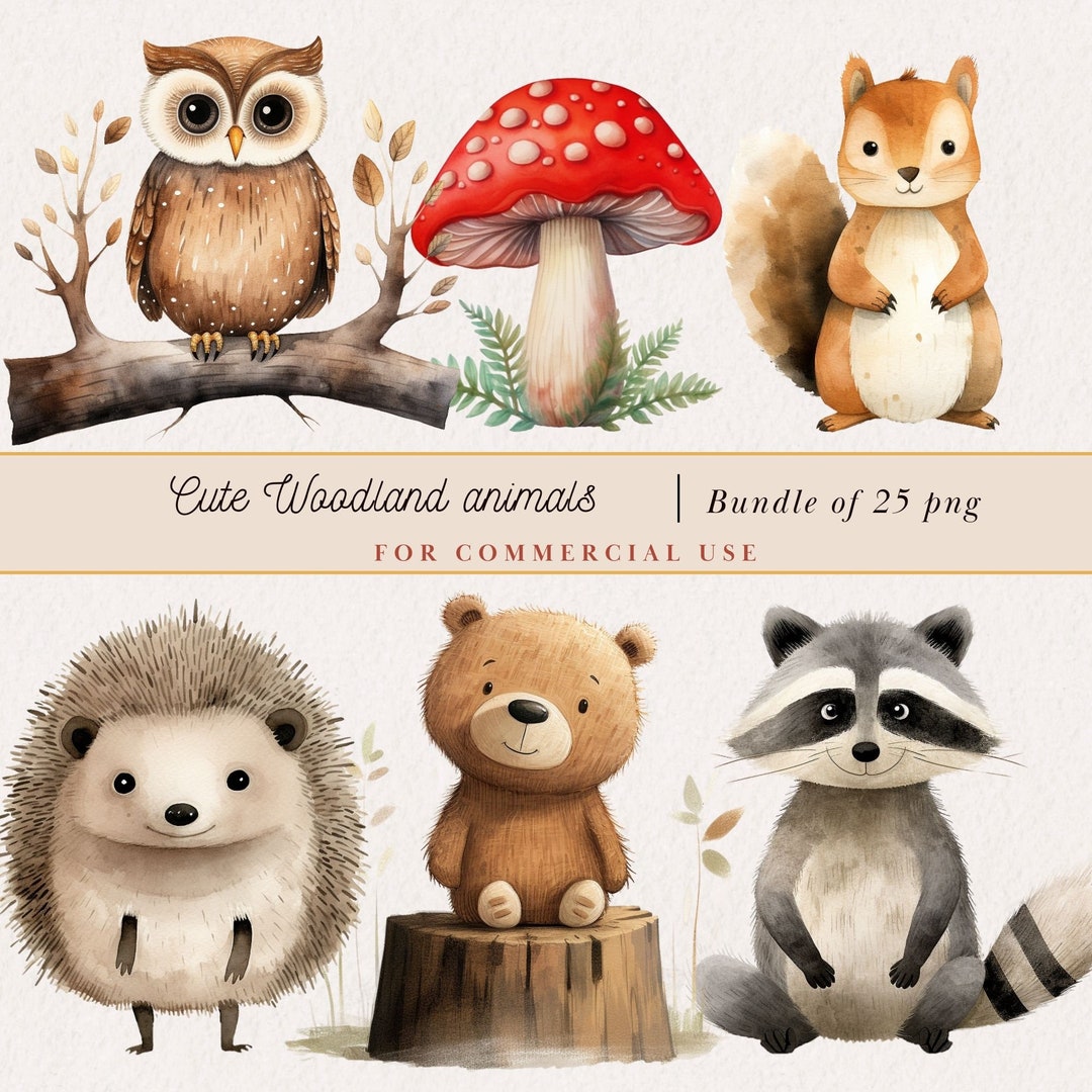 Woodland Animals Clipart Bundle, Cute Animal Png Graphics, Watercolor ...