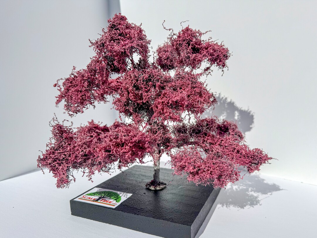 Eastern Redbud Model Tree in Spring Bloom - Etsy