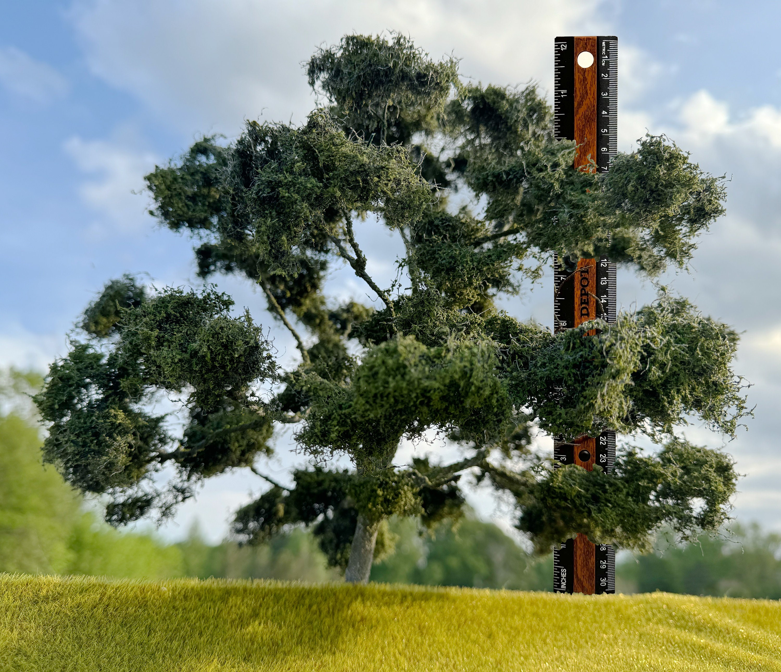 12 Tall 30 Cm Deciduous Oak Tree Model - Etsy