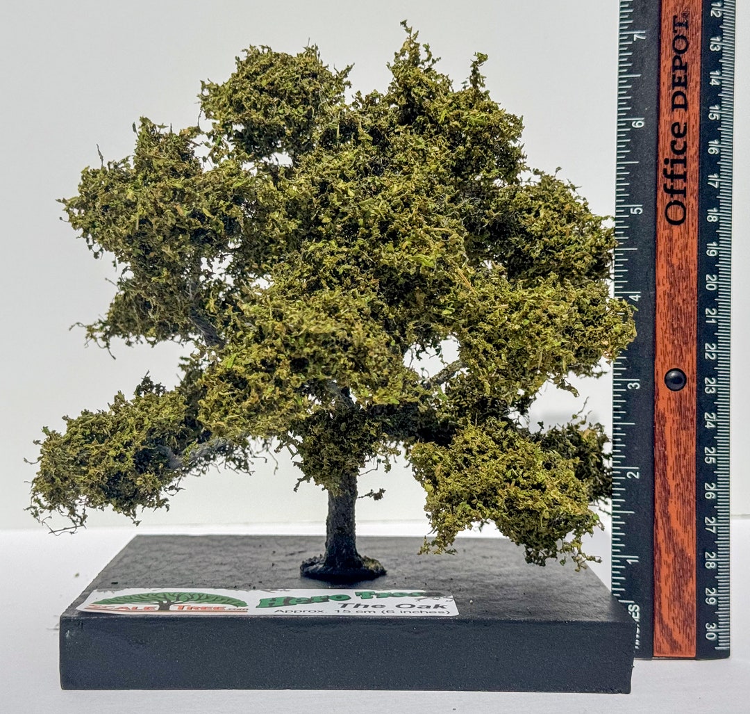 6" Tall Deciduous Oak Tree Model - Etsy