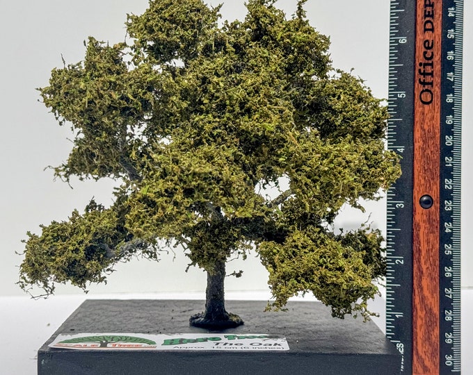 6" Tall Deciduous Oak Tree Model - Etsy