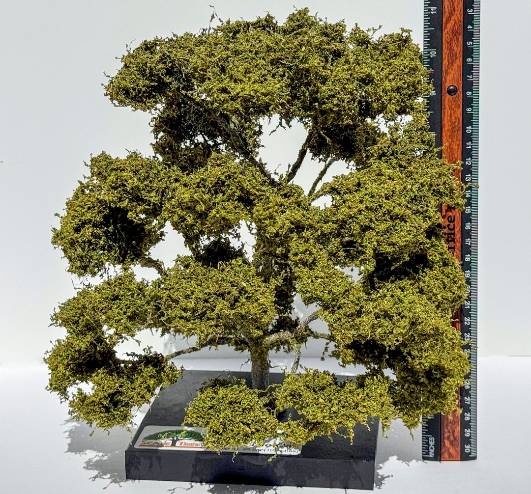 10" Tall (25 Cm) Deciduous Oak Tree Model - Etsy