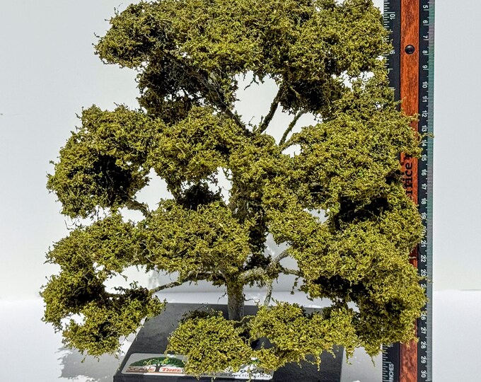 10" Tall (25 Cm) Deciduous Oak Tree Model - Etsy