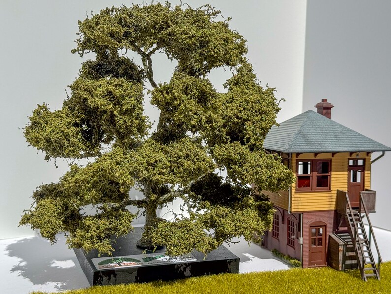 10" Tall (25 Cm) Deciduous Oak Tree Model - Etsy