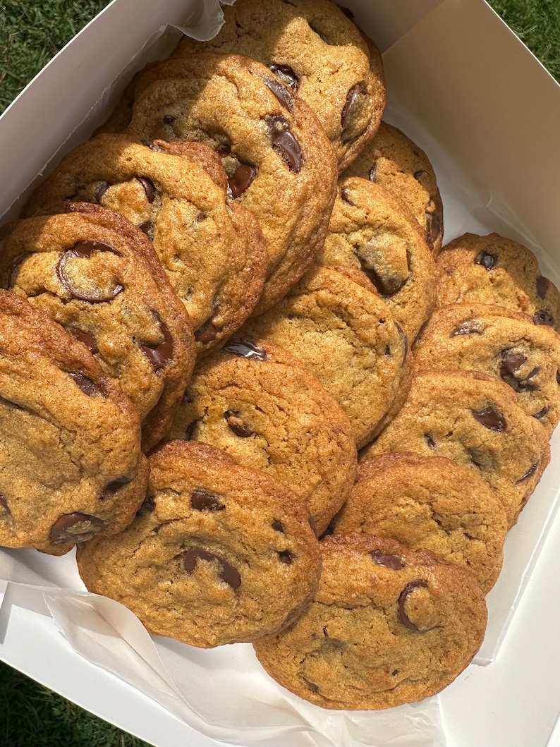 Best Damn Chocolate Chip Cookie Recipe | Gourmet Chocolate Chip Cookie ...