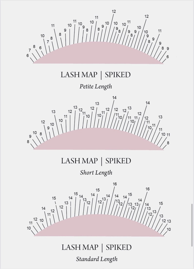 Professional Lash Maps Form for Precision Eyelash Extensions Lash ...